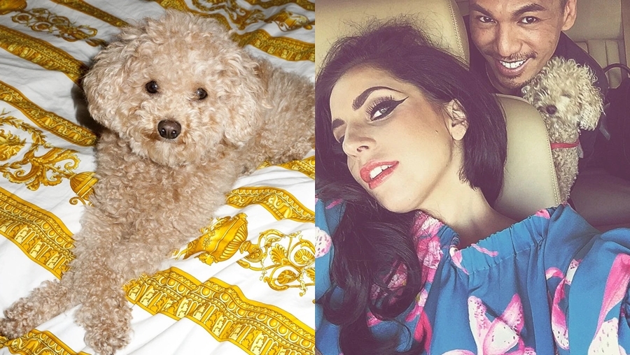 Frederic Aspiras publica emocionante mensagem de despedida a seu ...